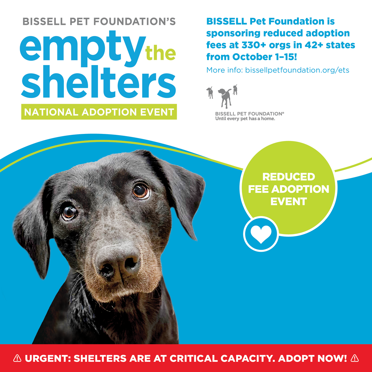 Animal Ark Rescue