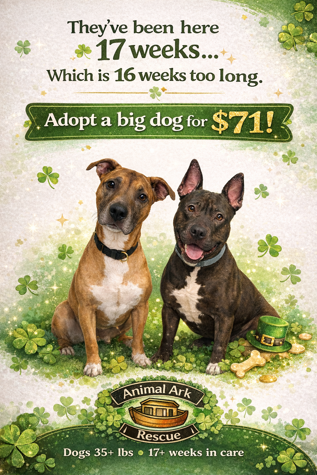 Animal Ark Rescue